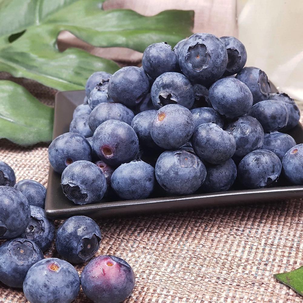 Morocco Becomes Leading Exporter of Blueberries to UAE